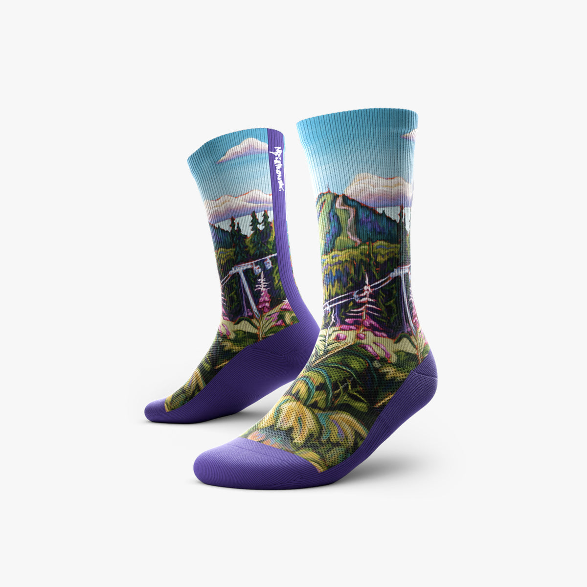 "Gold Mine" - Socks